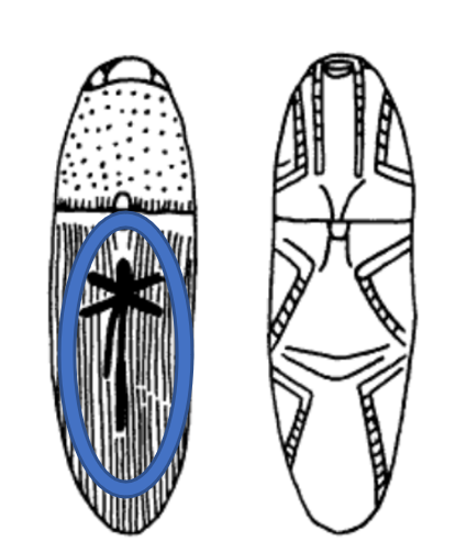 Neith – ‘The Great Mother’ and ‘Ruler of Arrows’ – The Curious Egyptologist