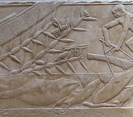 Frogs in Ancient Egpyt… Have you ever given it much thought? – The ...